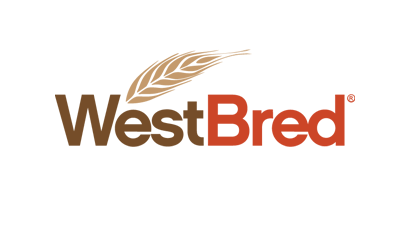 Breeders Tout New Cereal Lines in Aberdeen Trials | WestBred | Crop ...