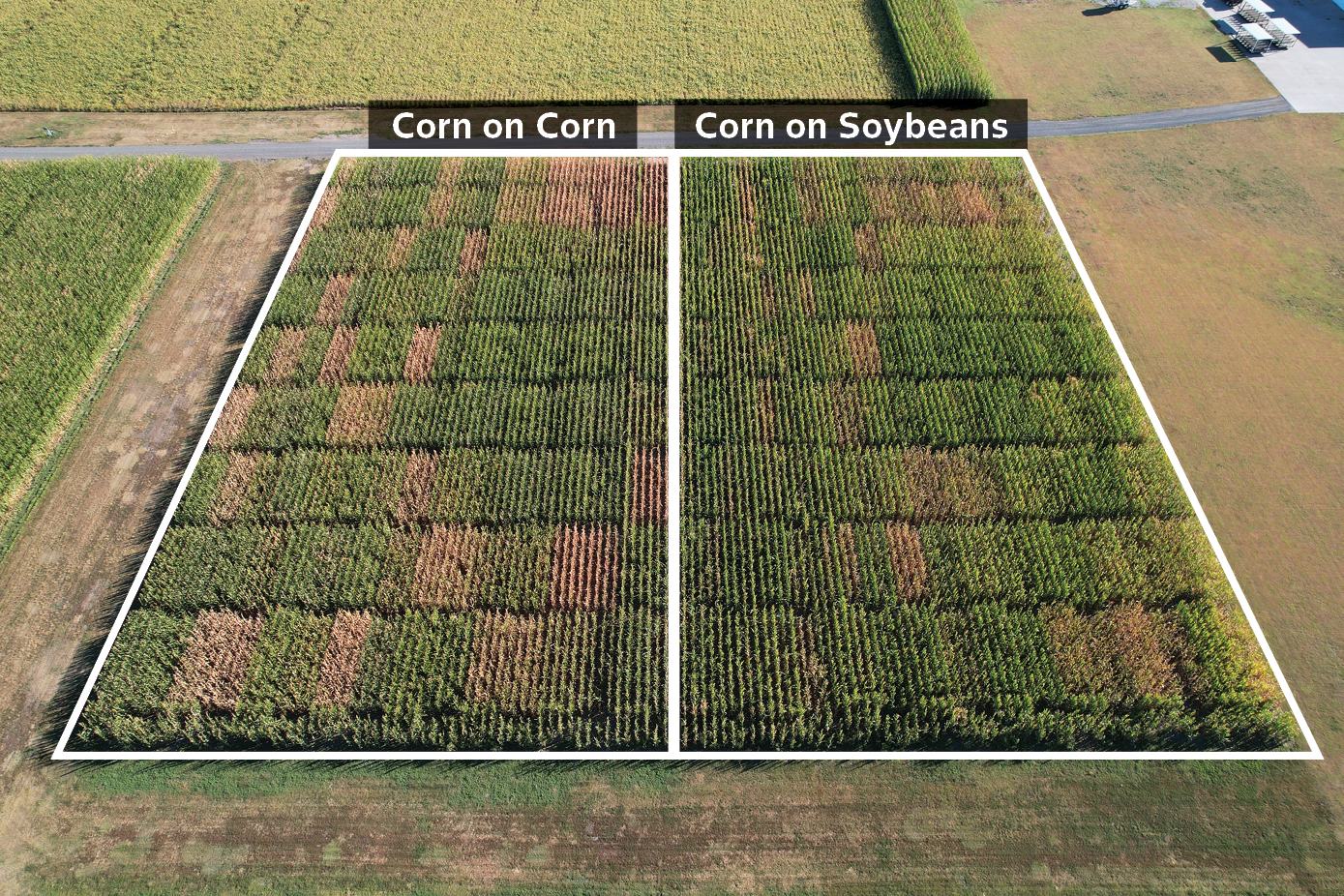 Dryland Corn Production Management Decisions on Different Rotation ...