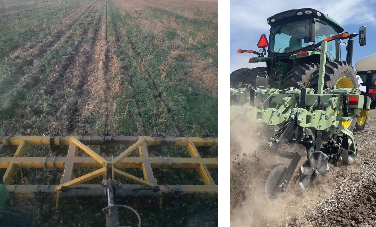 Dryland corn yield responses to tillage systems and product selection ...