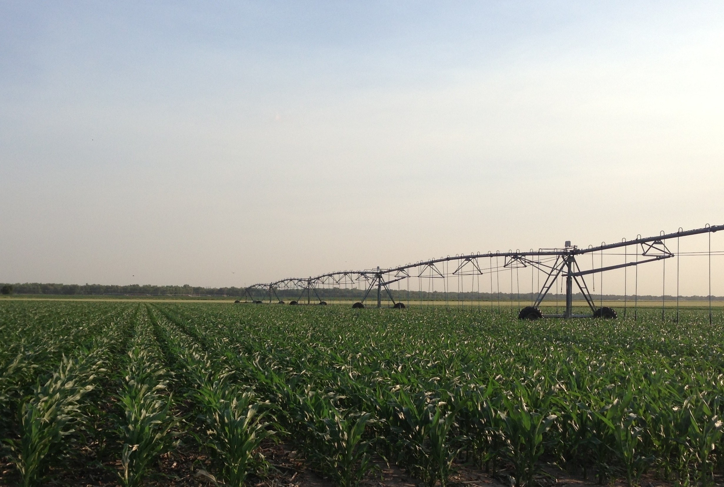 Using Irrigation for Fertigation | Crop Science US