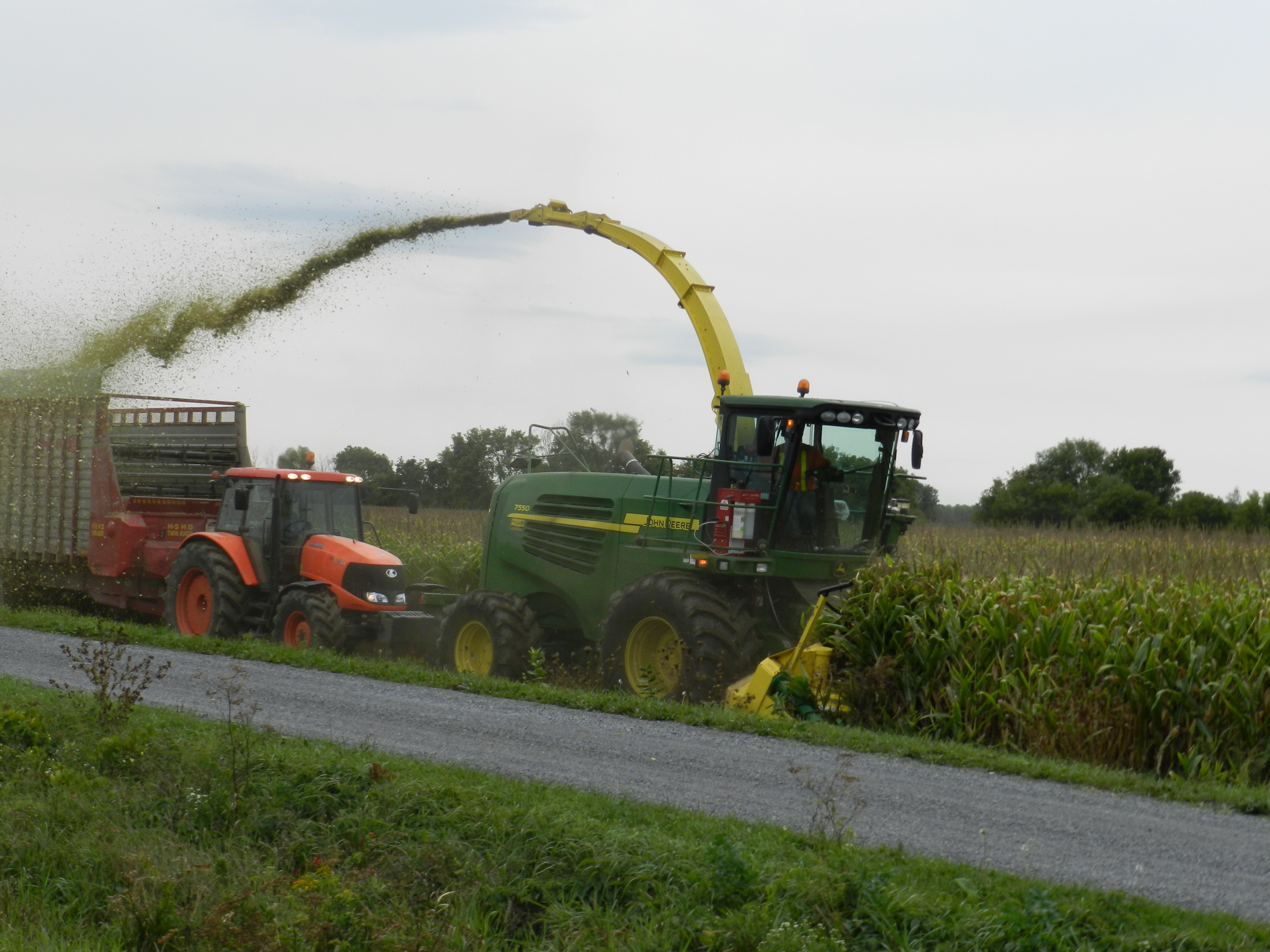 Interpreting Corn Silage Quality Test Results | Crop Science US
