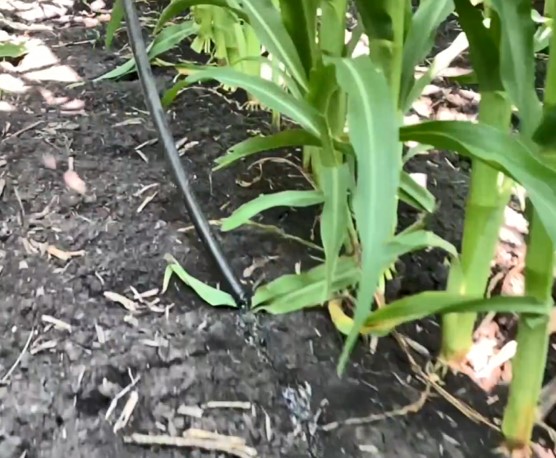 Positioning Preceon™ Smart Corn | Crop Science US