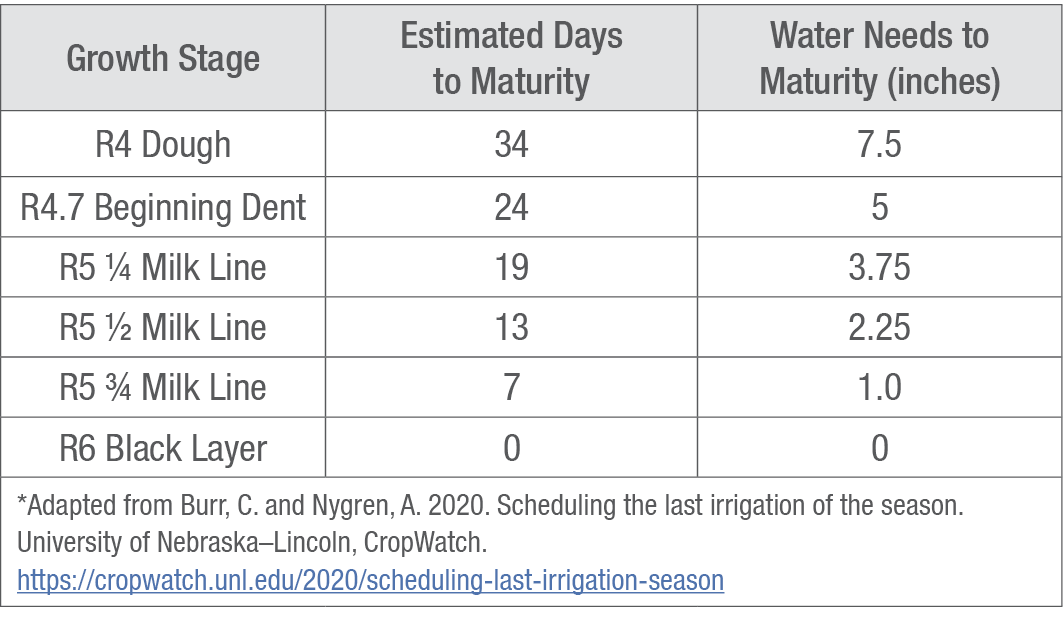 When to Schedule the Last Irrigation for Corn | Crop Science US