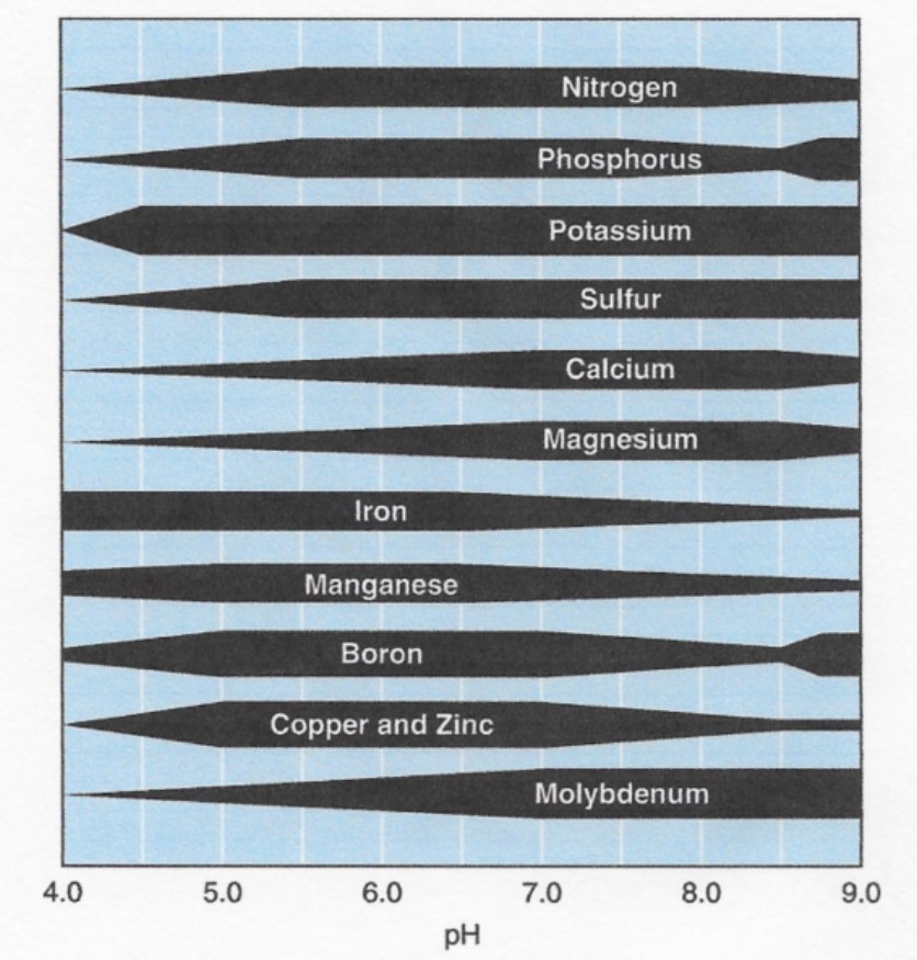 Importance of Managing Soil pH | Crop Science US