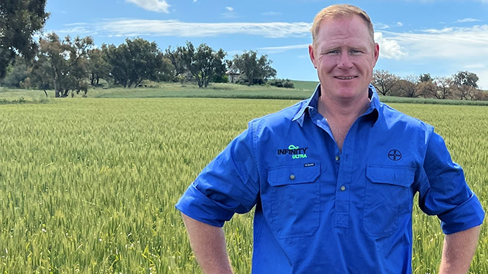 Trials show improved weed control in barley on the way | Crop Science US