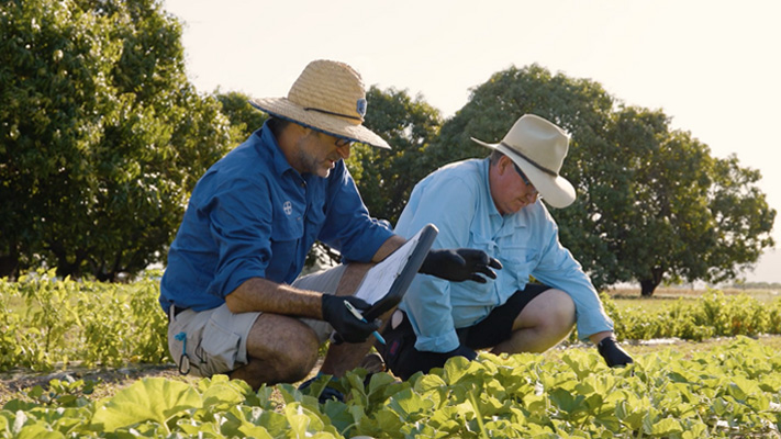 Luna Experience is now set to benefit vegetable growers | Crop Science US