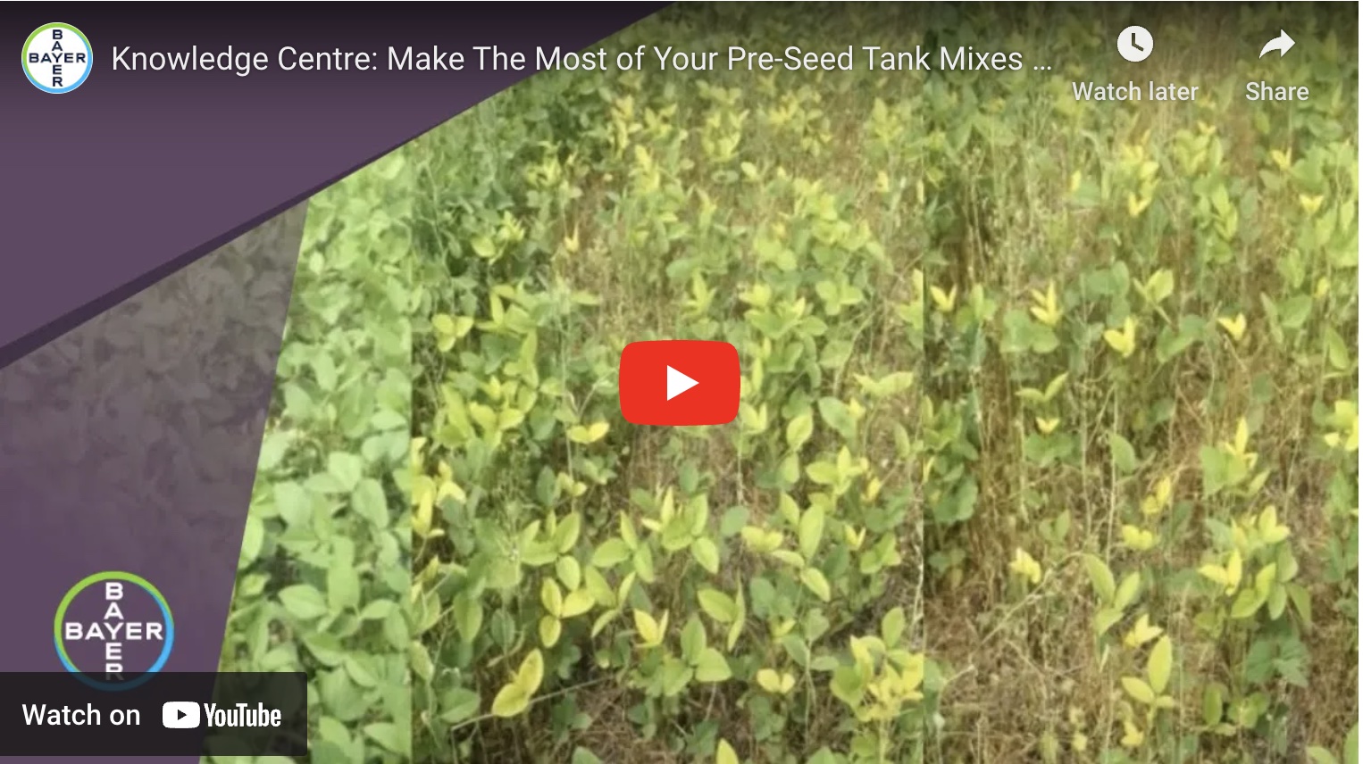 All about pre-seed tank mixing | Bayer Canada | Bayer Crop Science Canada