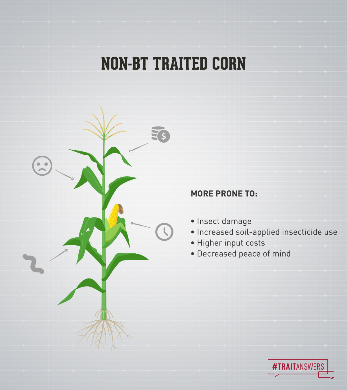 #TraitAnswers | Benefits Of Planting Corn Products With Builti-In ...