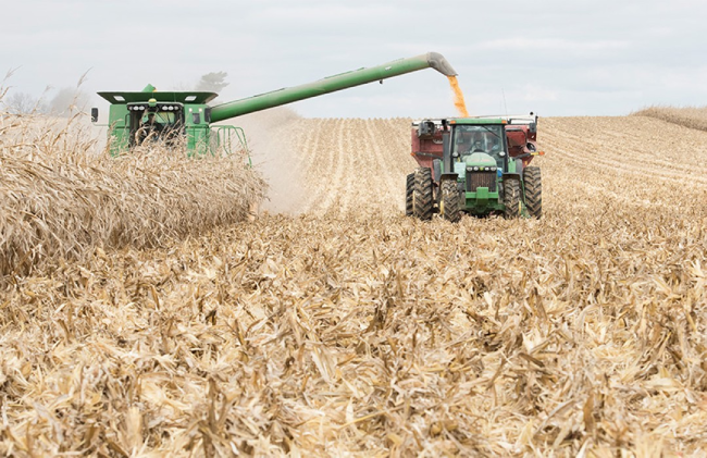 Harvest Safety Tips | Crop Science US