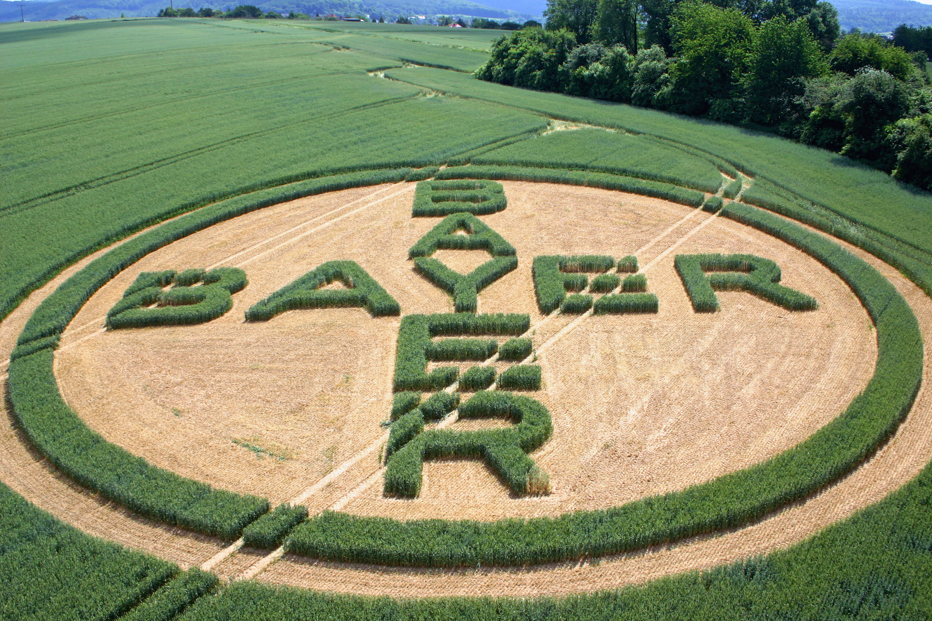 Understanding Pesticide Labels | Crop Science US