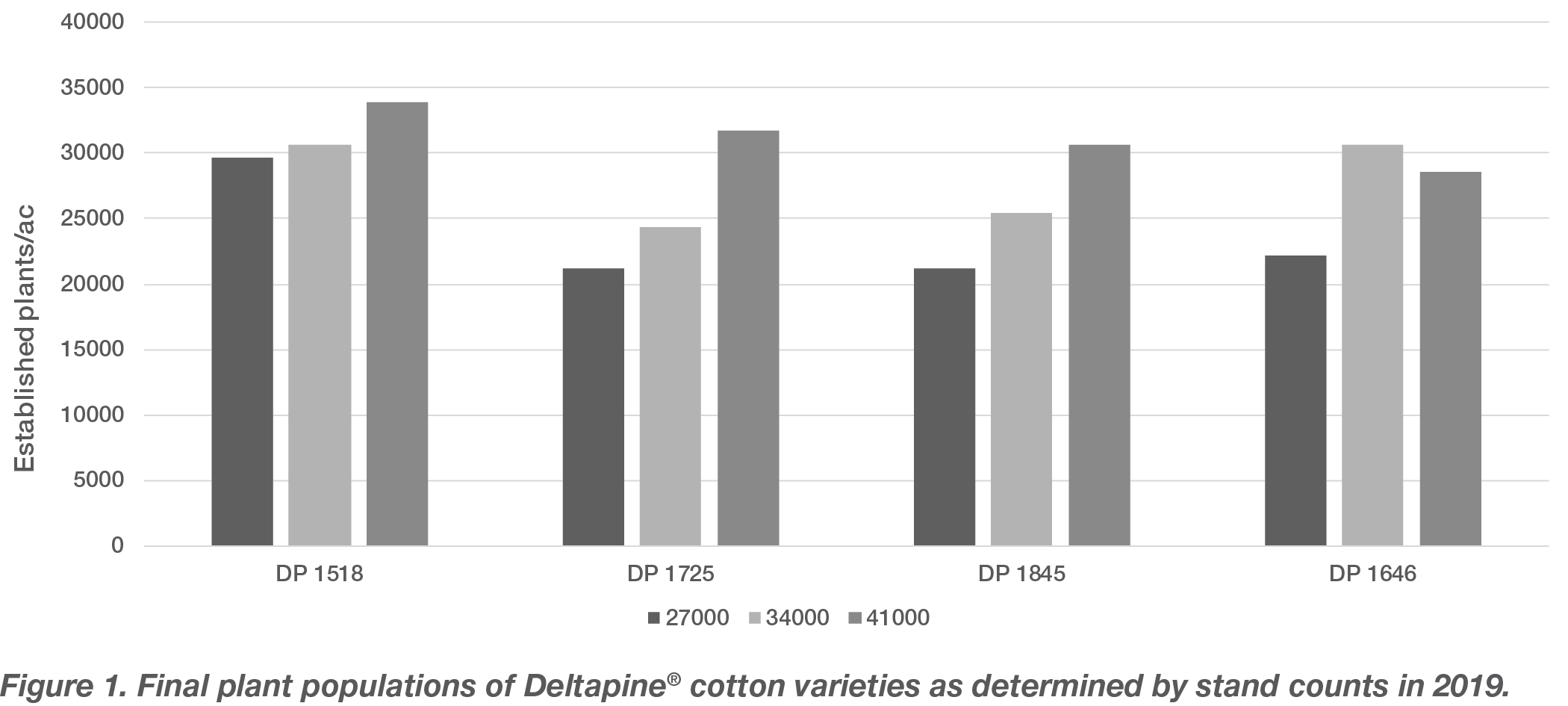 Response of Deltapine® Cotton Varieties to Seeding Rate | Crop Science US
