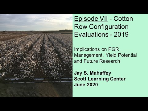 Row Configurations in Cotton Production | Crop Science US