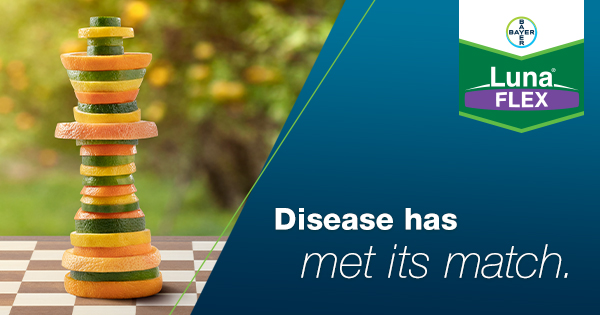 Luna® Flex Fungicide for Citrus | Crop Science US