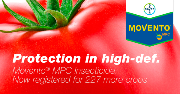 Movento® MPC Insecticide for Tomato & Pepper | Crop Science US