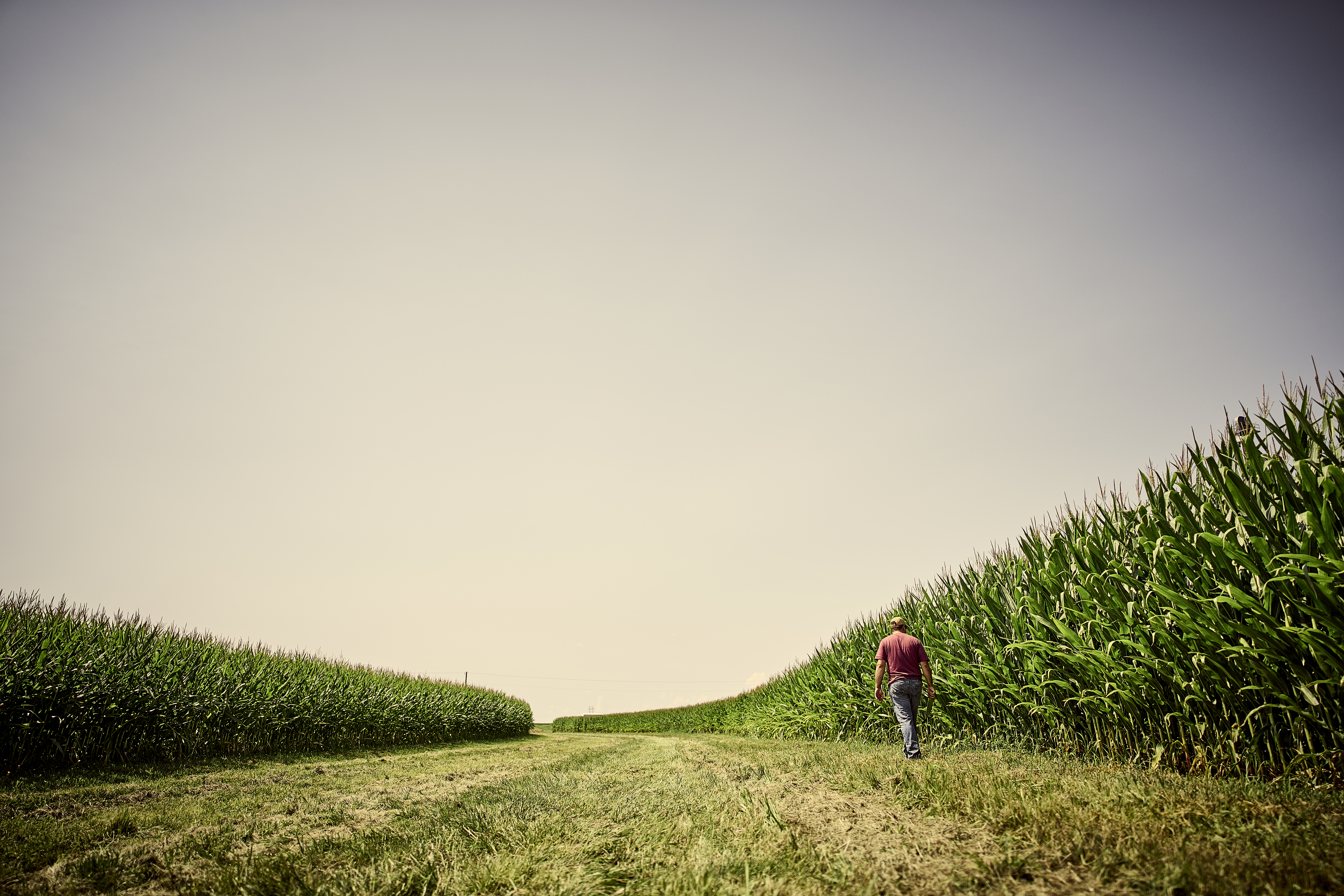 Resources for Understanding and Choosing Traits | Crop Science US