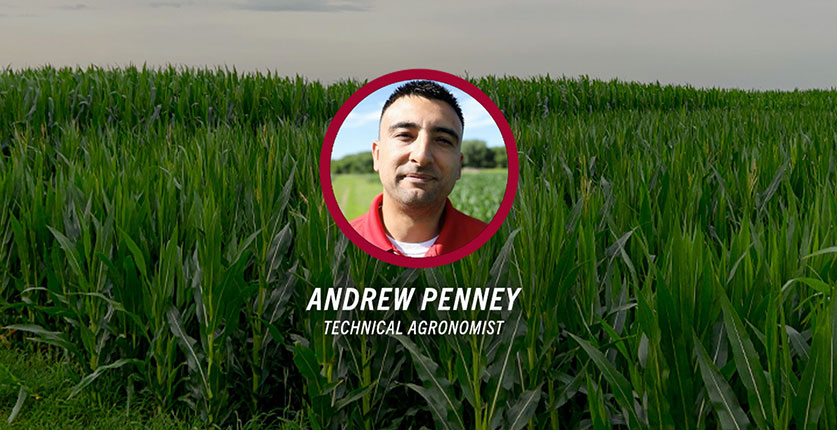Understand the Preceon™ Smart Corn System | Crop Science US