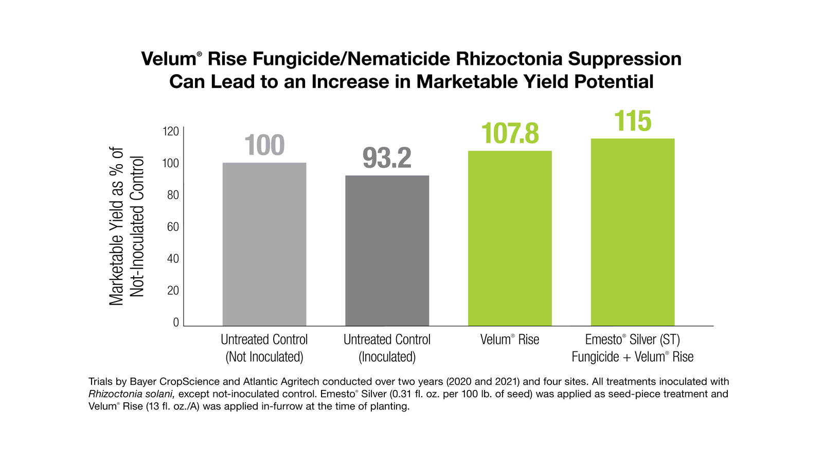 Start your Potato Season with Velum® Rise | Crop Science US